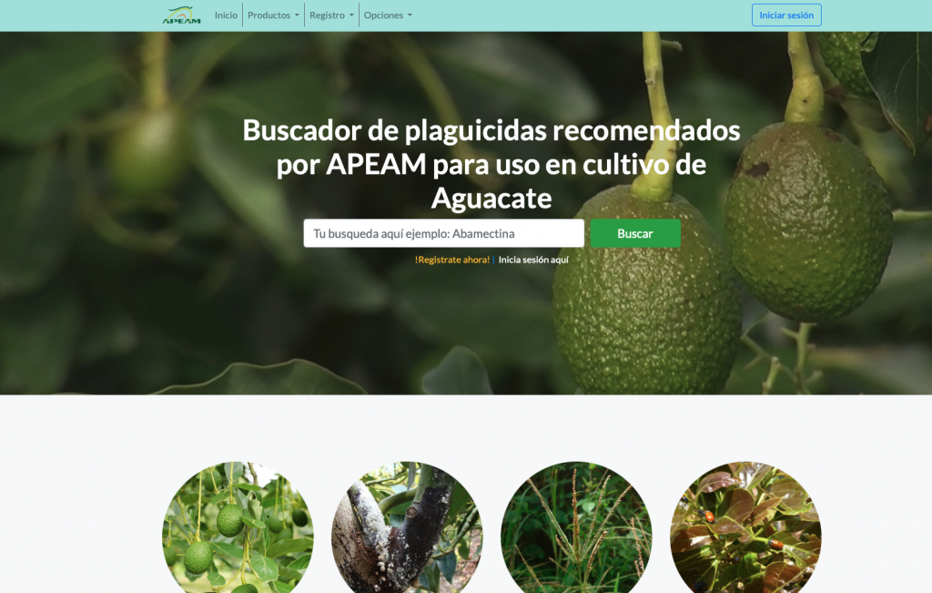 Uso responsable de agroquímicos en el cultivo de aguacate. | APEAM A.C.
