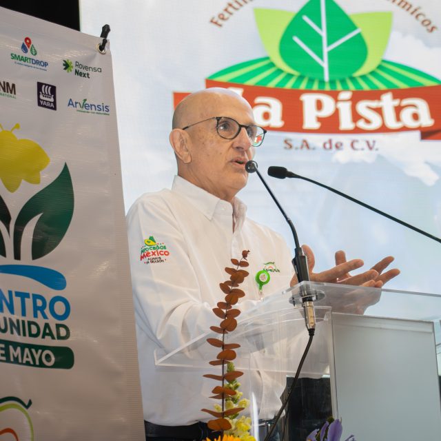 2024 | APEAM A.C.