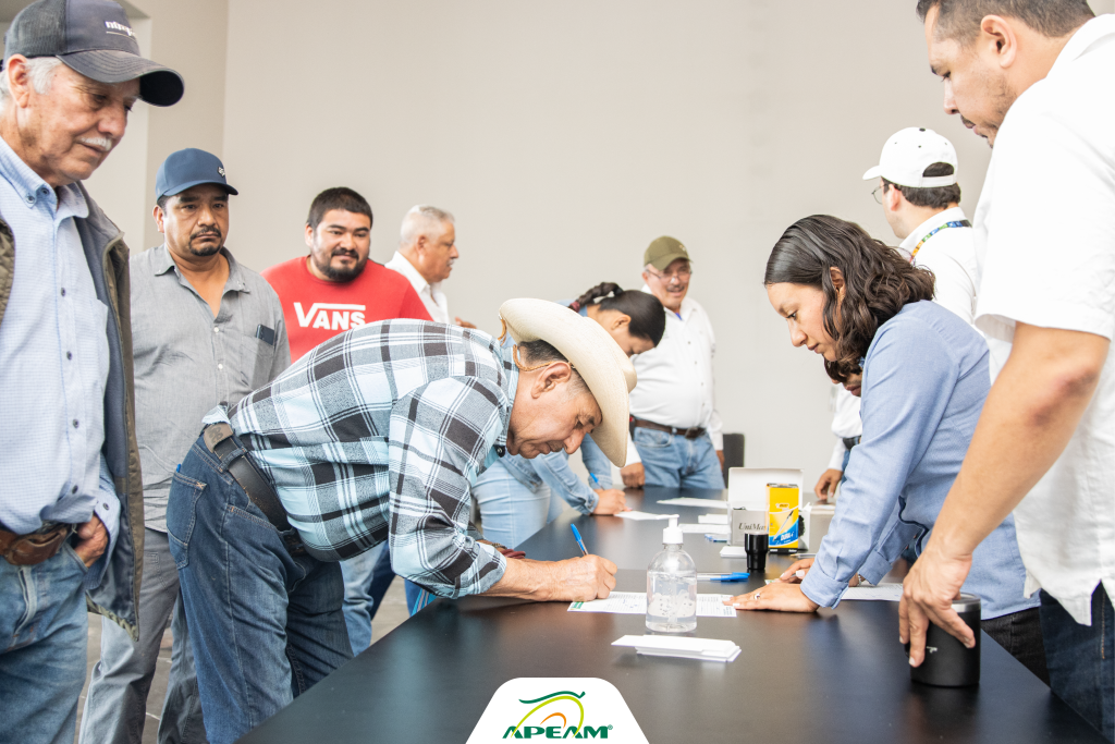 APEAM prepara la entrega de 690 mil plantas de pino. | APEAM A.C.