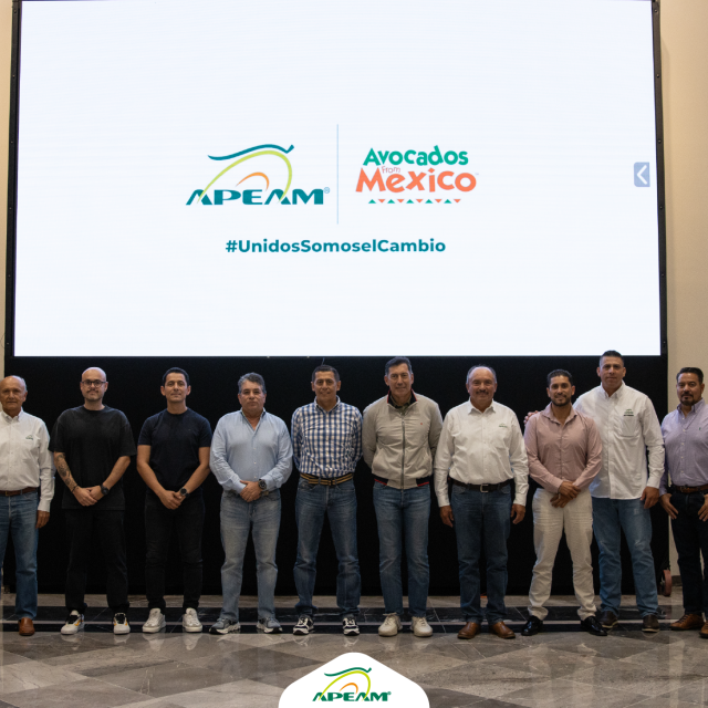 La ruta de confianza del aguacate de exportación: la trazabilidad de la ...