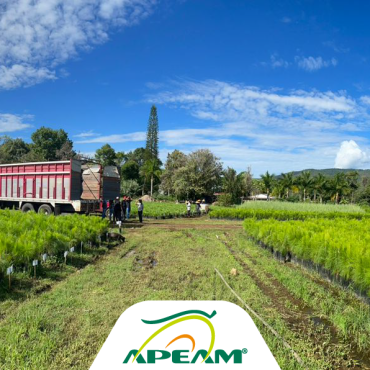 trazabilidad | APEAM A.C.