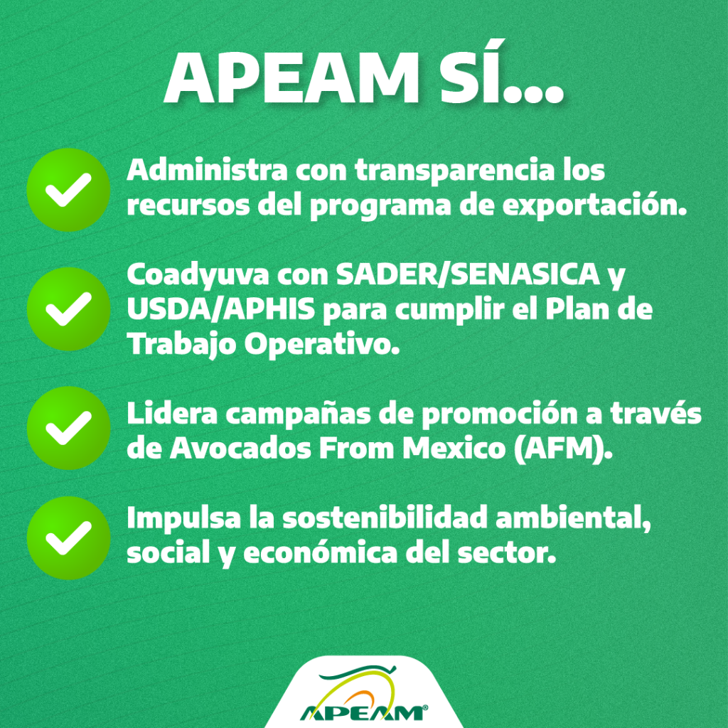 El trabajo detrás del aguacate mexicano de exportación | APEAM A.C.