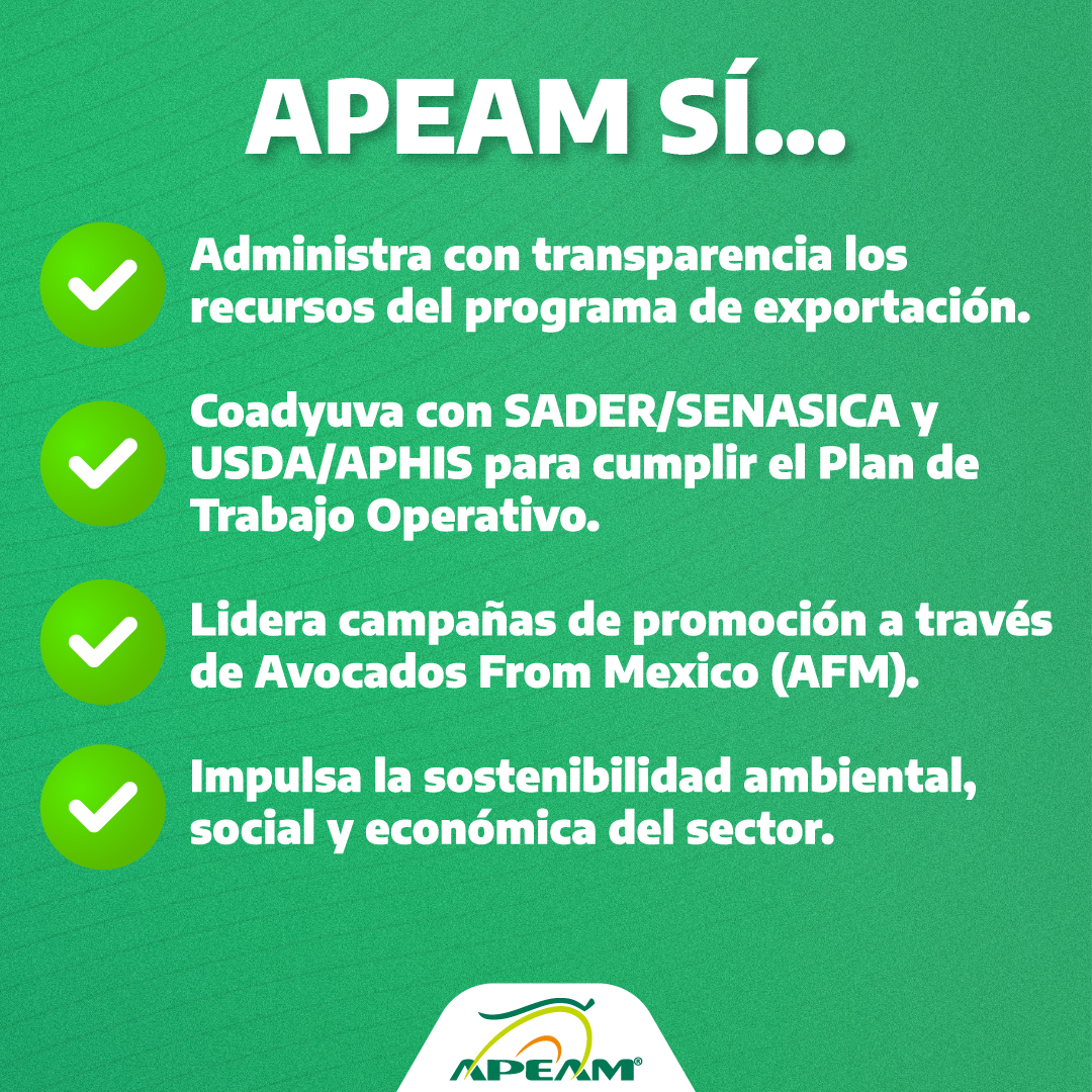 El trabajo detrás del aguacate mexicano de exportación | APEAM A.C.